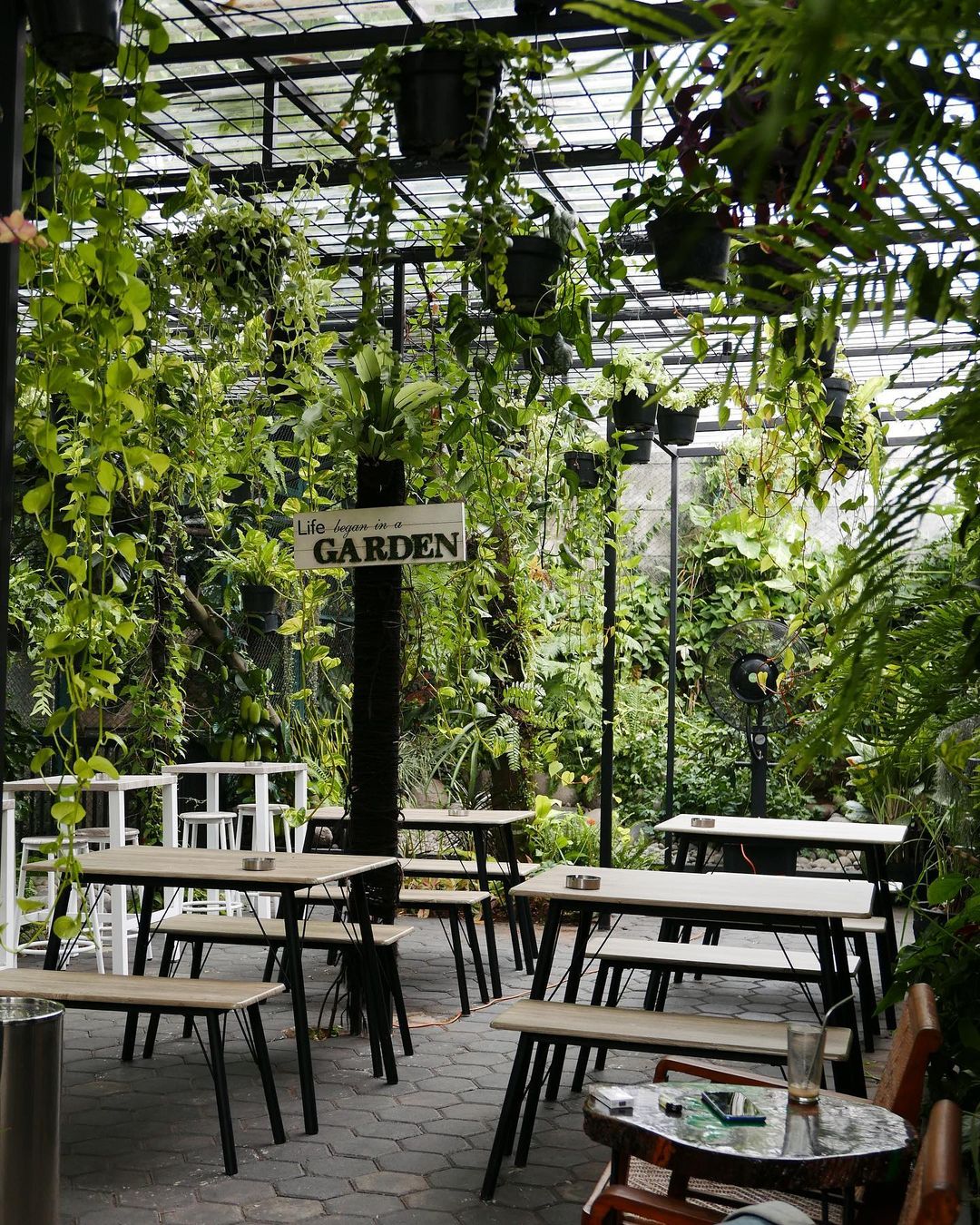 Cafe Hutan Hujan di Bogor, Tempat Nongkrong Suasana Hutan yang Cozy Abis