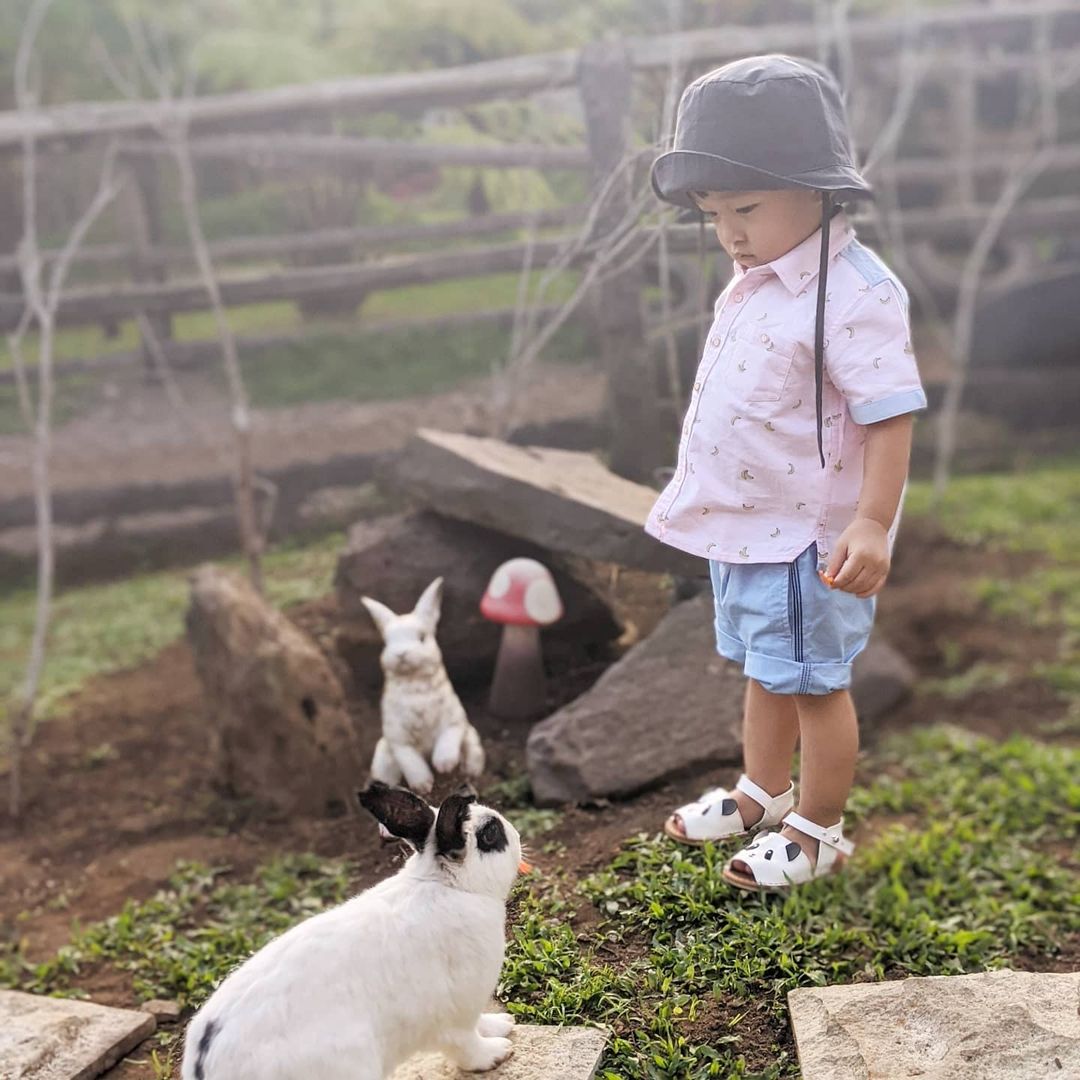 Fairy Garden Lembang, Destinasi Wisata Anak dengan Konsep Negeri ...