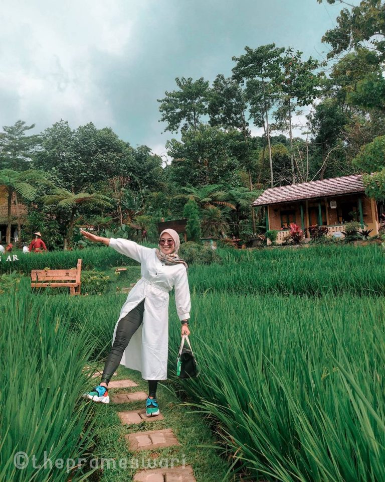 Tempat Makan Menu Tradisional dengan Pemandangan Sawah yang Asri dan ...