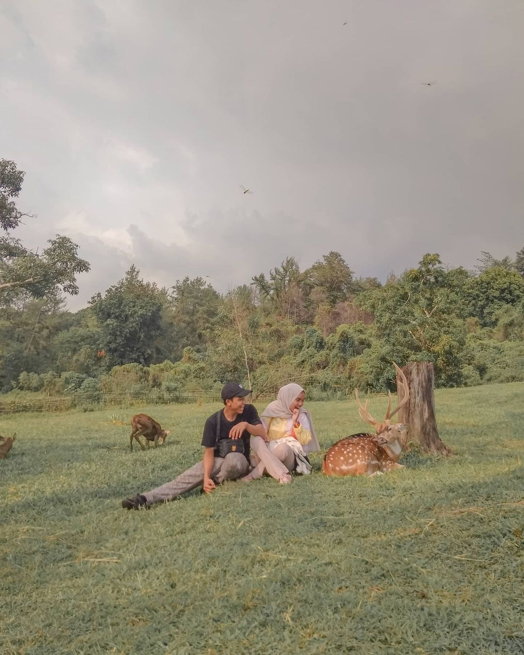 Penangkaran Rusa Cariu, Solusi Untuk Liburan Akhir Pekan yang Seru ...