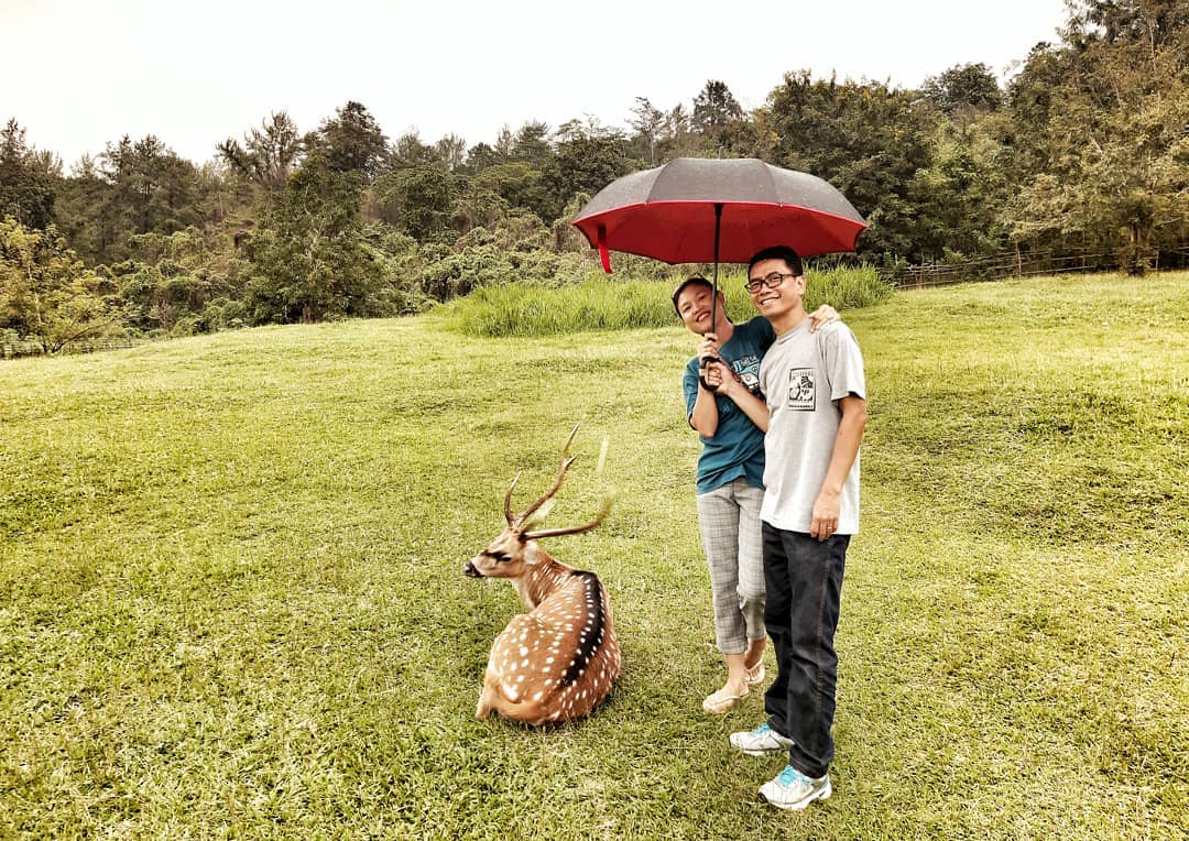 Penangkaran Rusa Cariu, Solusi Untuk Liburan Akhir Pekan yang Seru ...