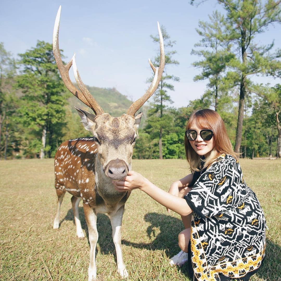 Penangkaran Rusa Cariu, Solusi Untuk Liburan Akhir Pekan yang Seru ...