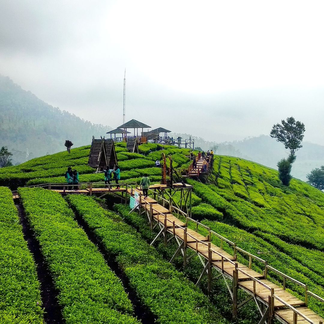Wayang Windu Bike Park, Spot Foto Hits di Bandung yang Super Cantik ...