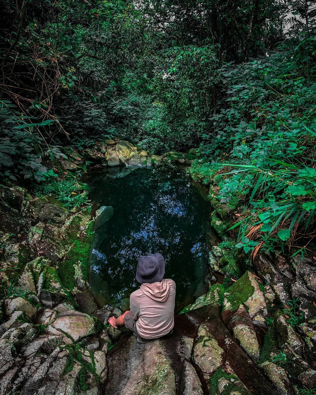 Obyek Wisata di Kaki Gunung Salak! Keindahan Pemandangan Bukit Pinus ...