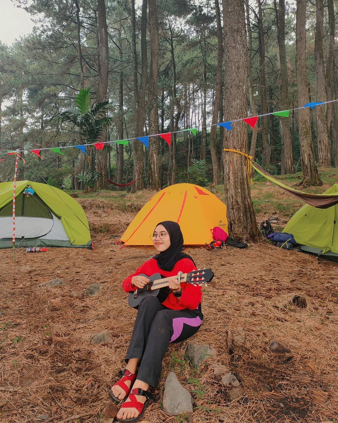 Obyek Wisata di Kaki Gunung Salak! Keindahan Pemandangan Bukit Pinus ...