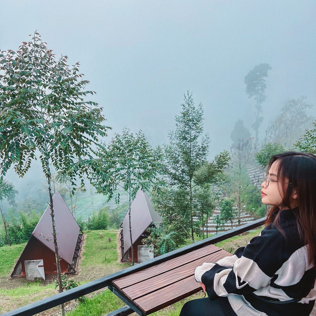 Glamping Mewah di Kema Merbabu, Camping di Tengah Hutan dengan ...