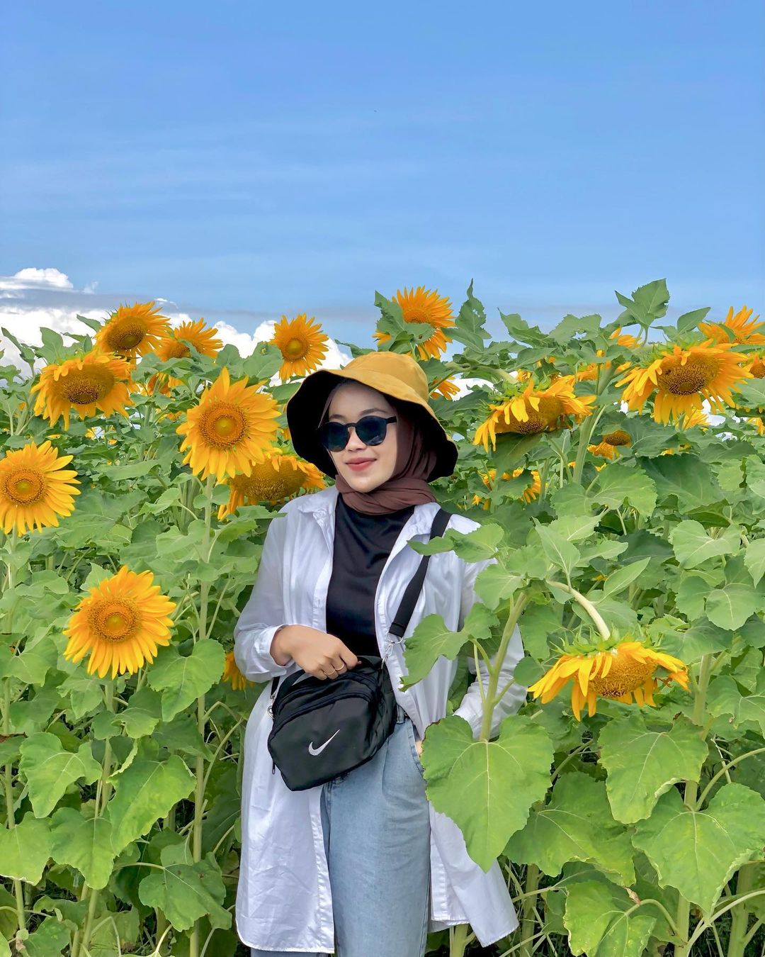 Ladang Bunga Matahari, Tempat Wisata Kekinian Terbaru di Kota Batu yang ...